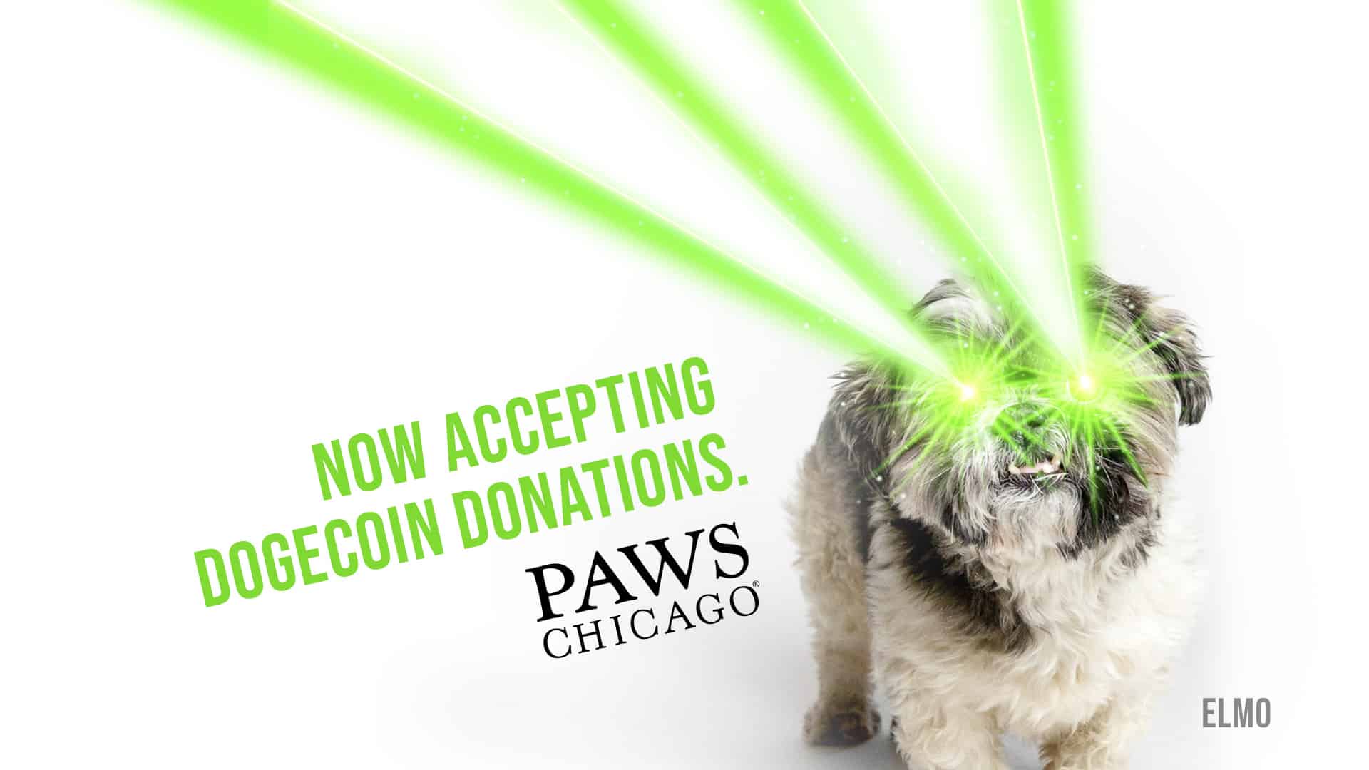 Dogecoin price in doghouse as animal shelter seeks DOGE for real dogs