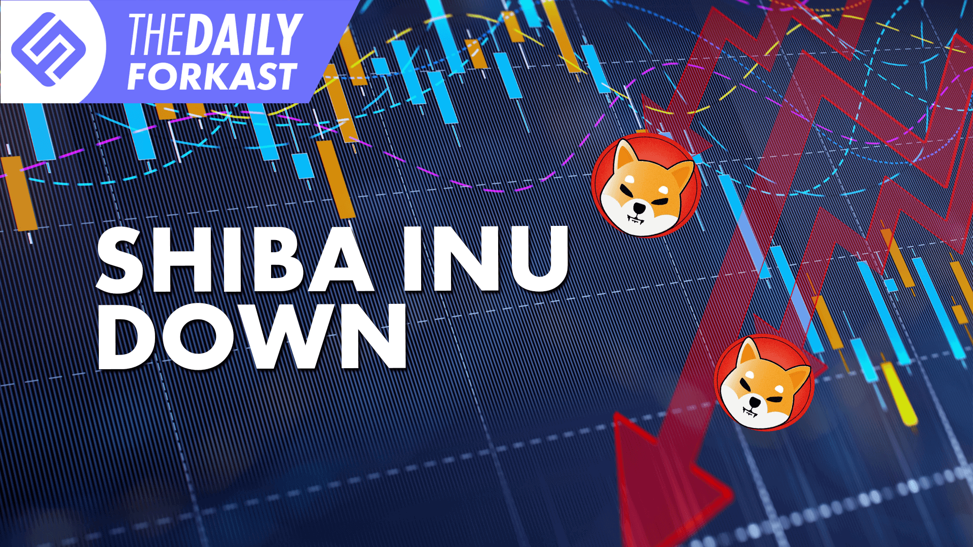 Shibu Inu coin struggles; Blockchain an inflation hedge solution?