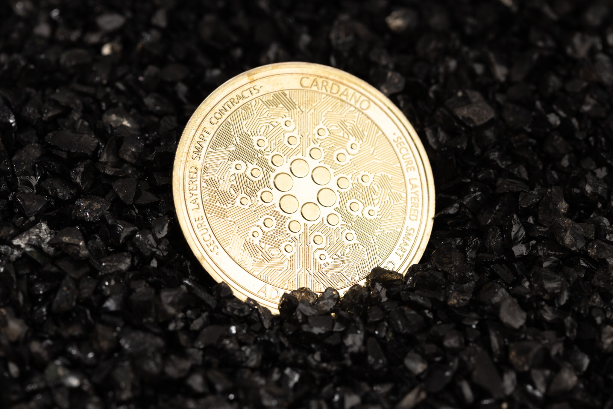 Input Output announces privacy-centric blockchain and token on Cardano Input Output announces privacy-centric blockchain and token on Cardano
